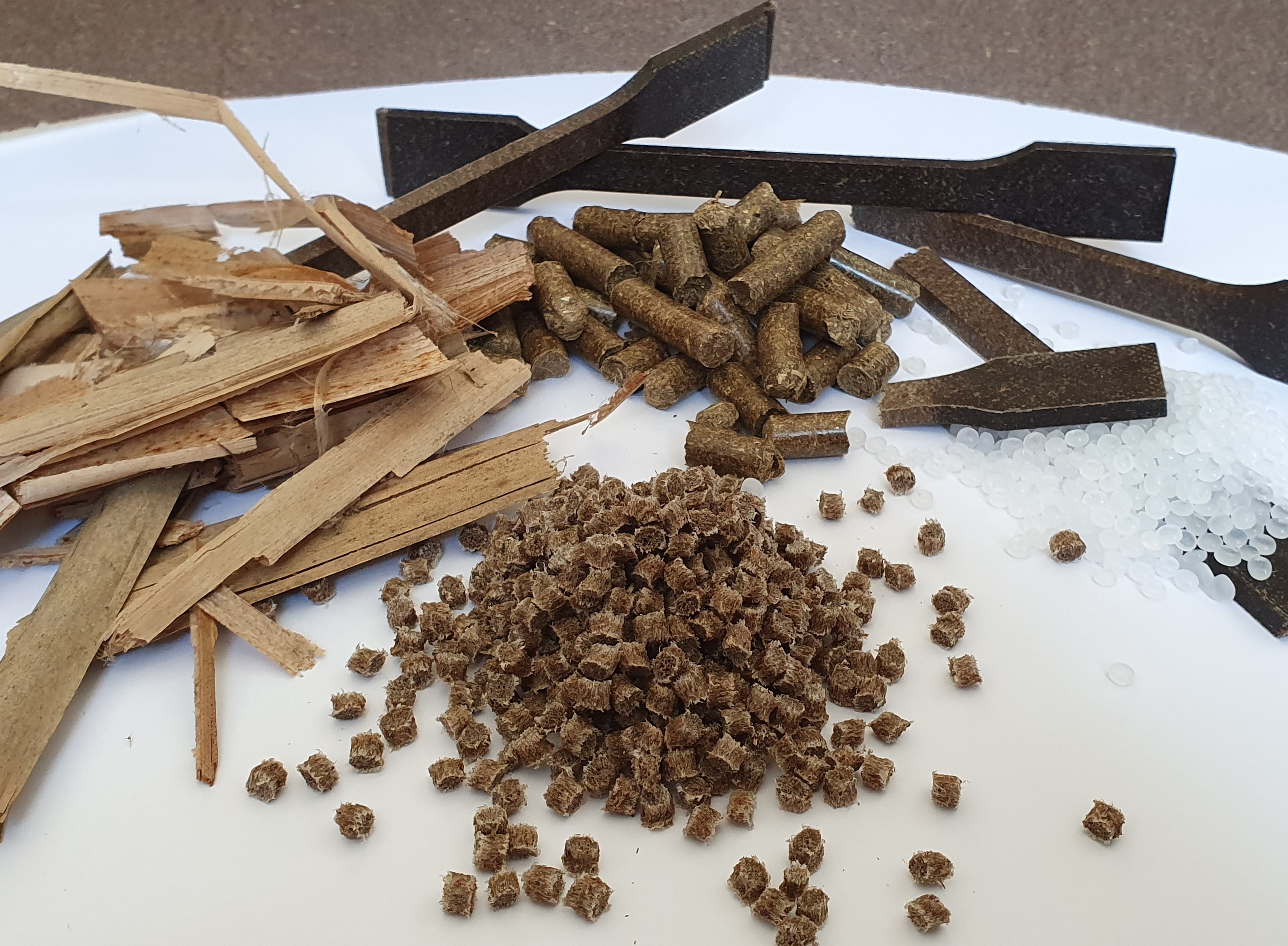 Paludi-Produkt – Biobasierte Kunststoffprodukte aus Paludikultur – Plant3